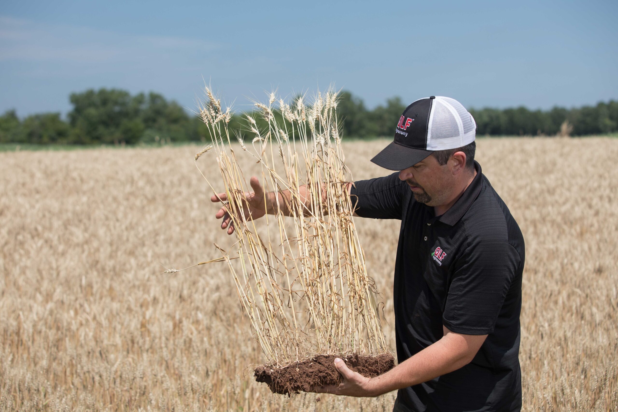 QUALITY LIQUID FEEDS, INC. CULTIVATES GROWTH WITH MUSKOGEE FACILITY ...